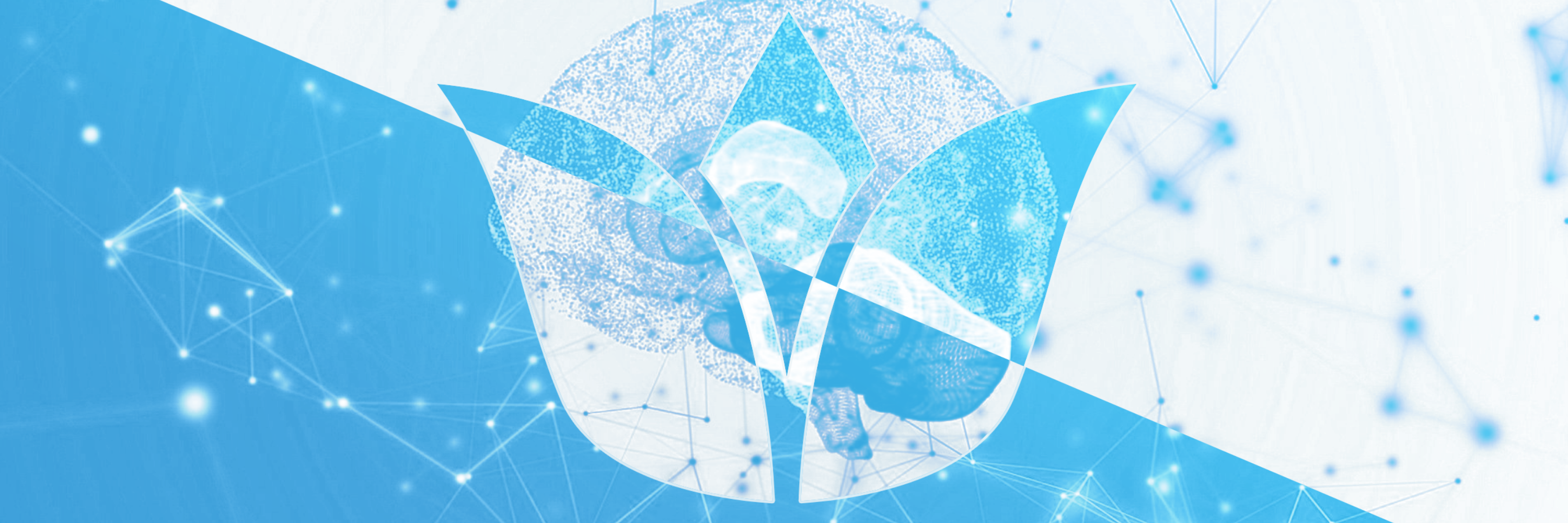 Wallstreet Investor Club | Entheon Biomedical